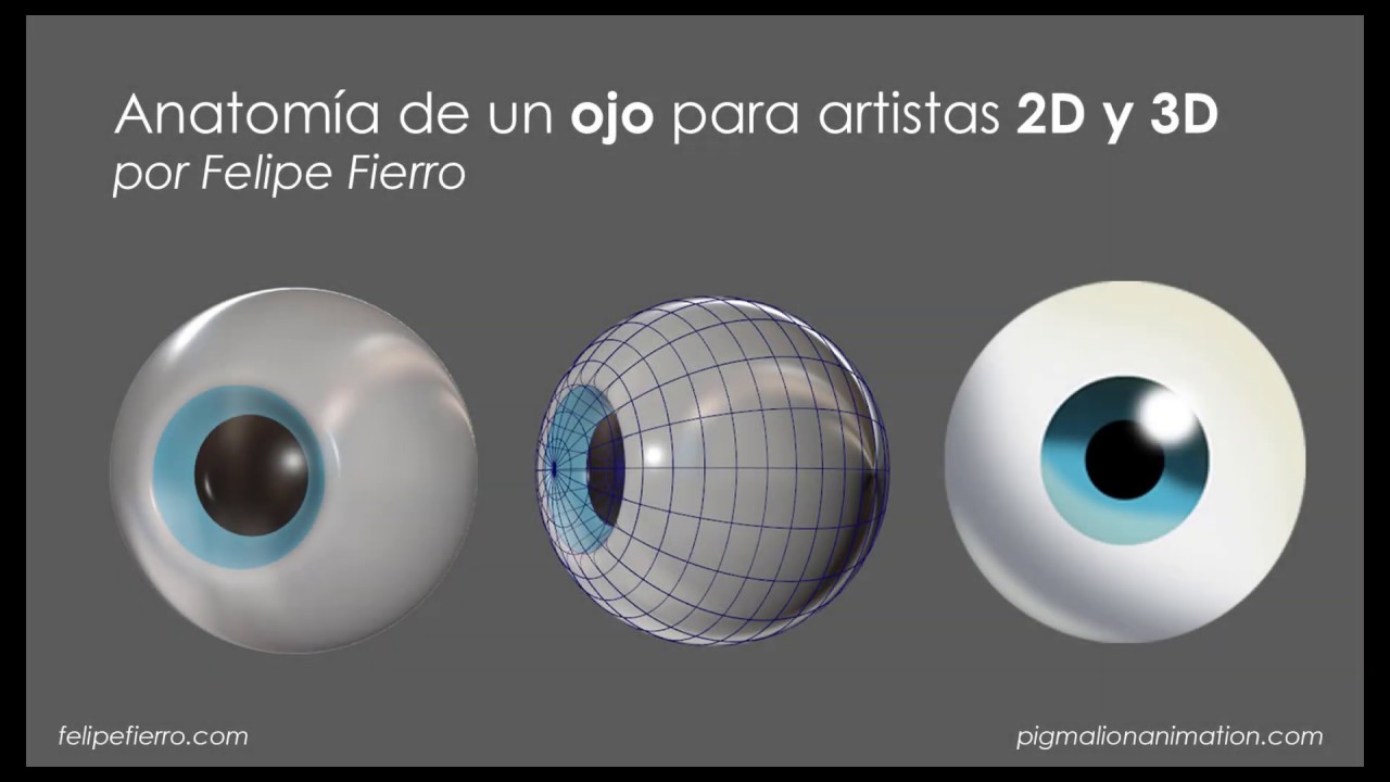 Anatomía de un ojo en 2D y 3D - YouTube