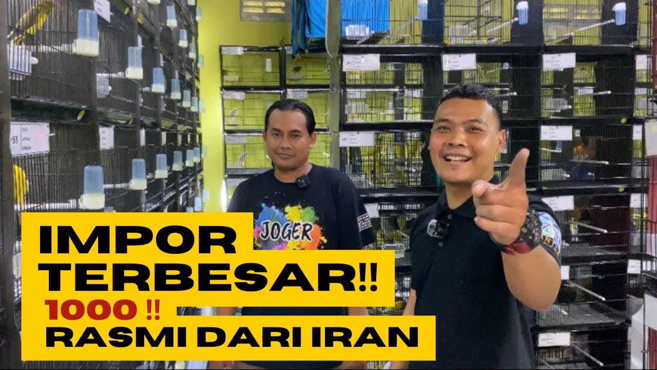 PUSAT KENARI IMPORT SOLORAYA ‼️stok kenari RASMI IRAN mantap mantap ...