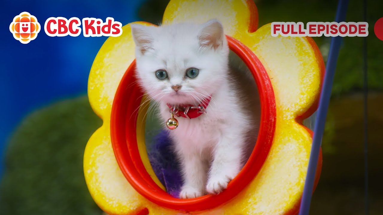 Mittens & Pants | Finding Friends | CBC Kids - YouTube