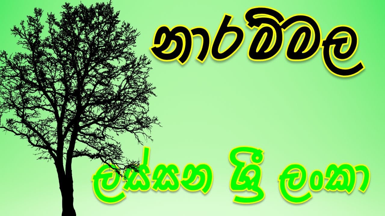 Narammala, kurunegala, Sri Lanka. - YouTube