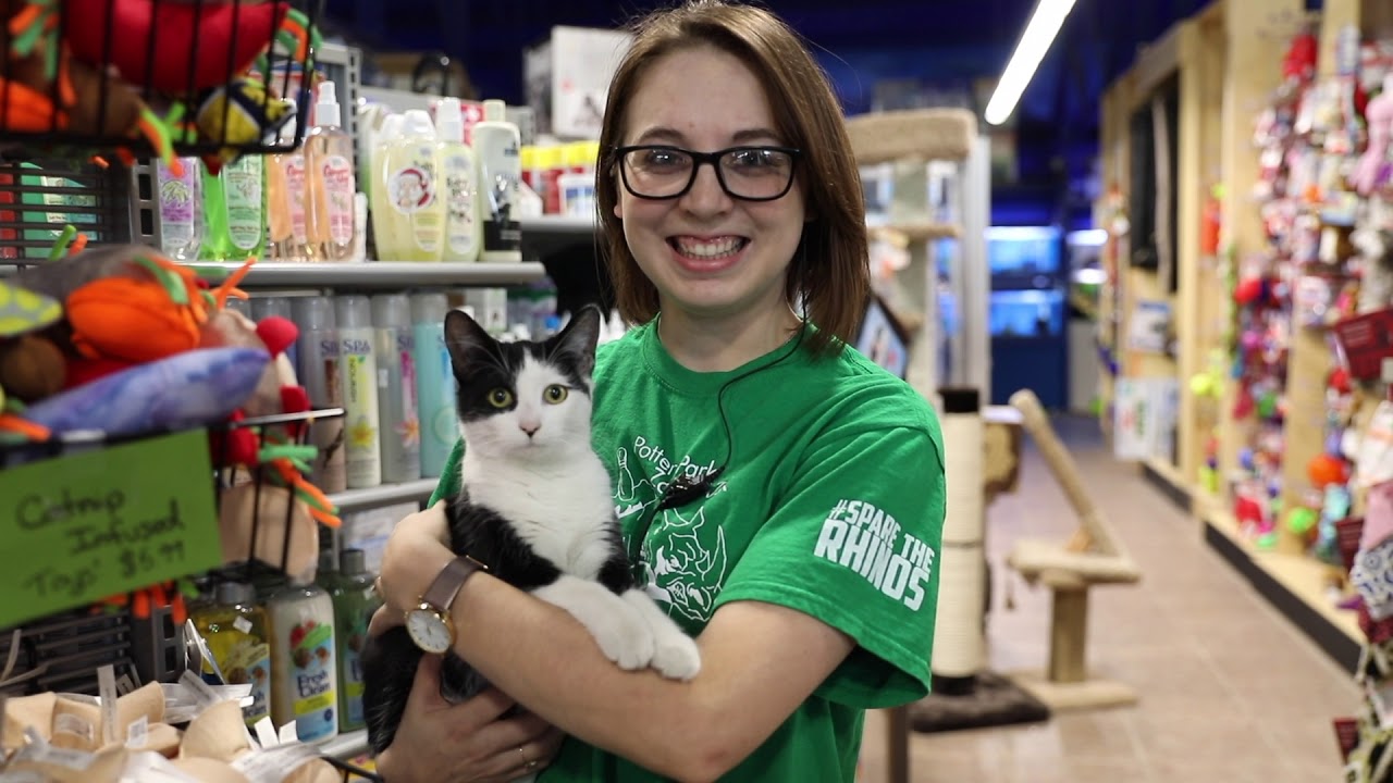 Preuss Pets - YouTube