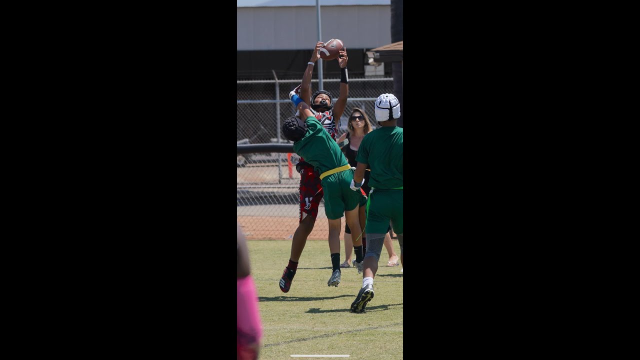 NFL Flag Football Apex Predators Top 10 Greatest Game Winning Catches ...