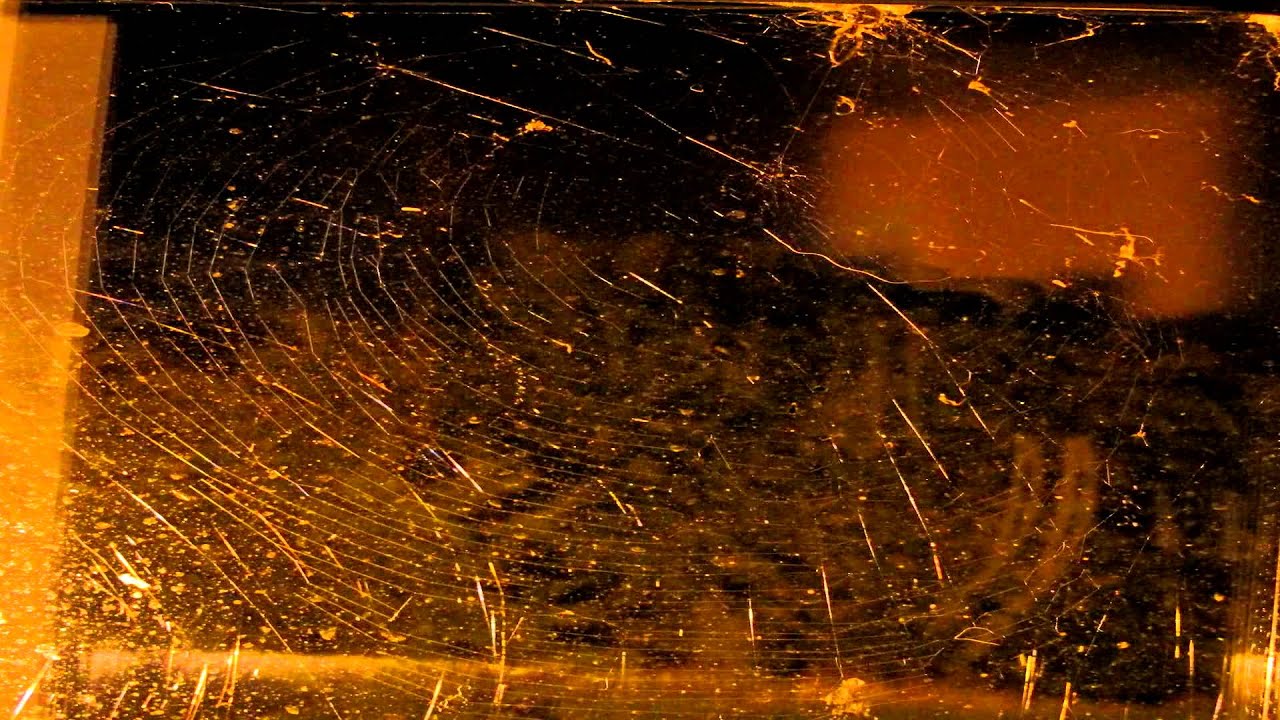 Mad Spiders - YouTube