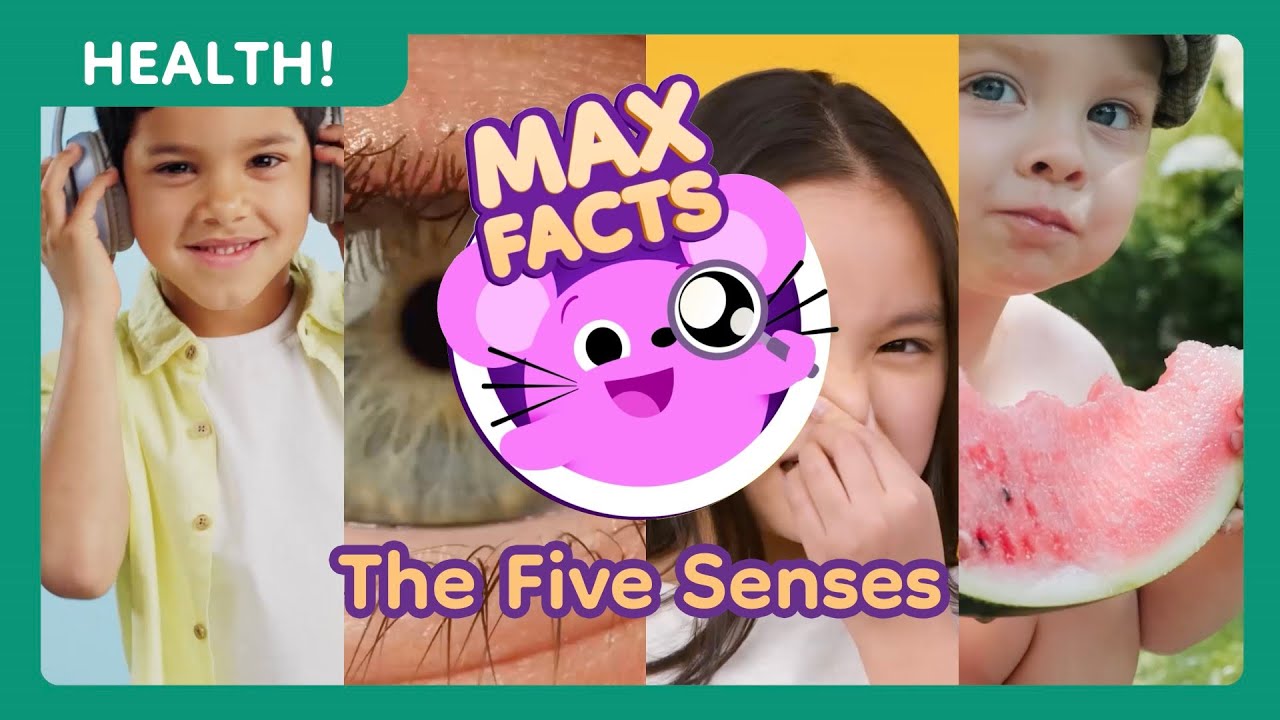 Watch – Zoodio World