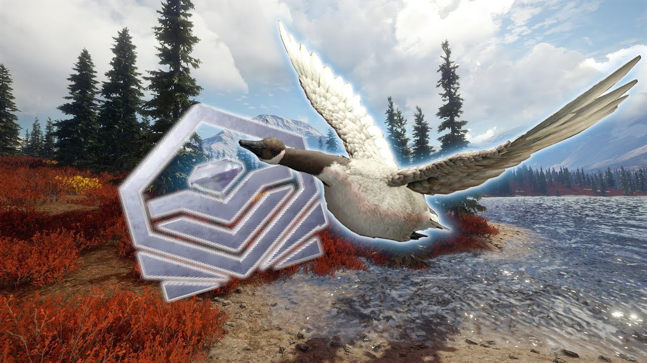 Getting Bested By a Diamond Goose on Yukon!? in theHunter: Call of the ...