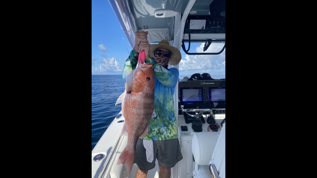 32 inch Red Snapper - YouTube