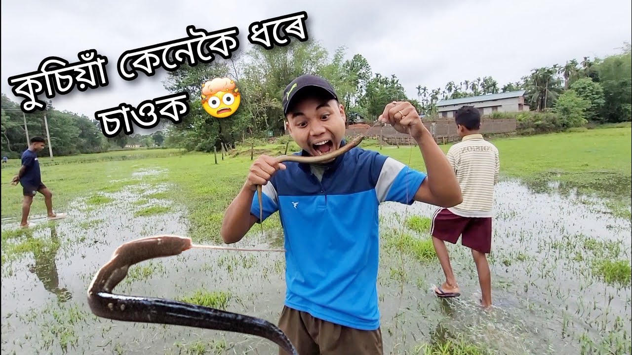 Kusiya kidore dhoribo pari saok [কুচিয়া কিদৰে ধৰে চাওক ] amazing Eel ...