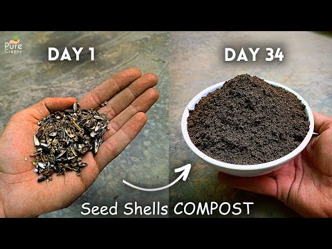 How To Make COMPOST From Seed Shells Waste? (WITH UPDATES) - YouTube