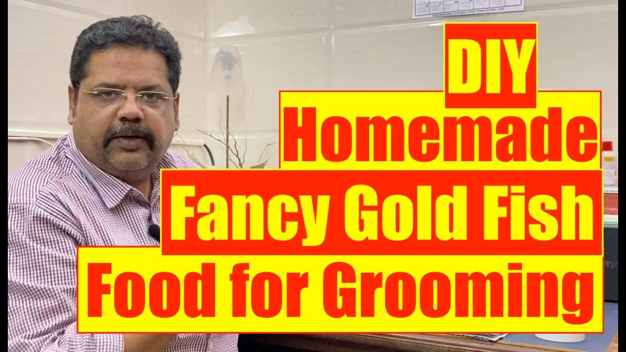 Aquarist World video | DIY Homemade Goldfish Food Review | Mayur Dev ...
