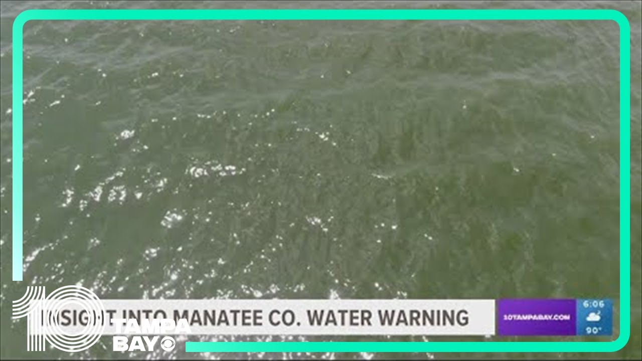 Blue-green algal bloom detected in Lake Manatee - YouTube