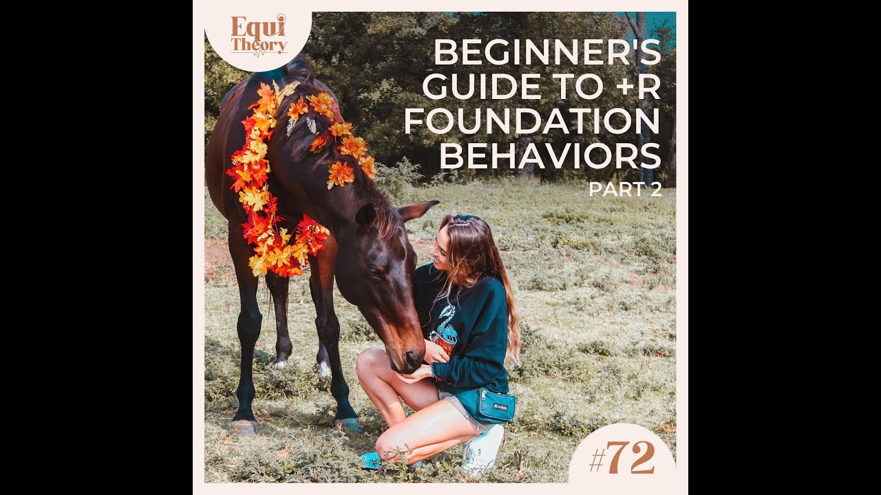 72. Beginner’s Guide to +R Foundation Behaviors (Pt. 2) - YouTube
