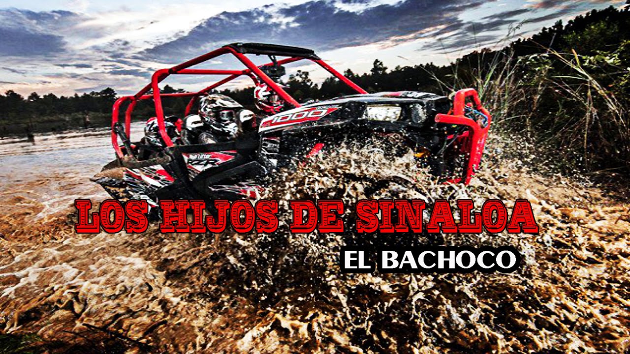 El Bachoco- Los Hijos De Sinaloa - YouTube