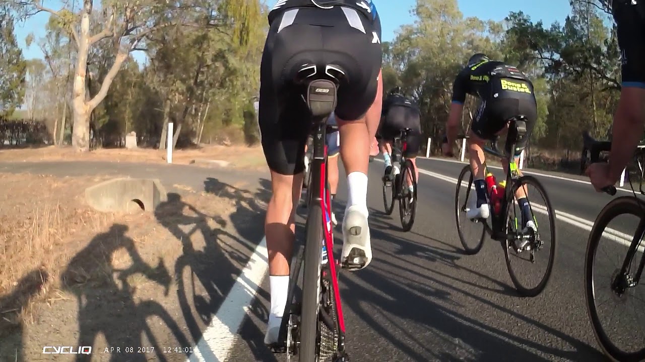 Boxing Day Bash Roll 2019 - YouTube