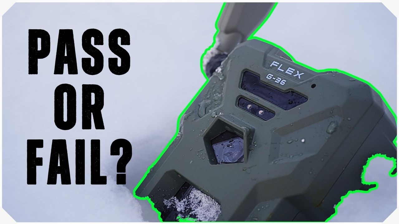 Spypoint Flex G36 Long-Term Review | Bear Attacks & Real-World Results ...