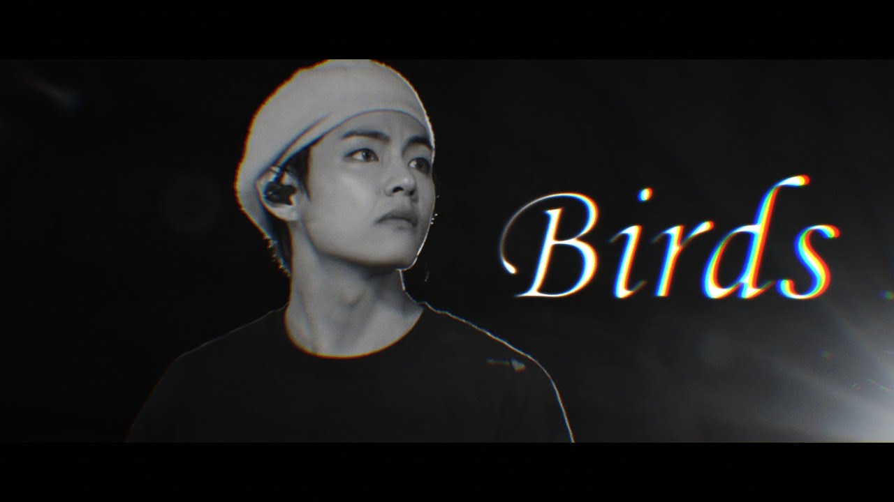 fmv BTS 'Birds' MEP Part - YouTube