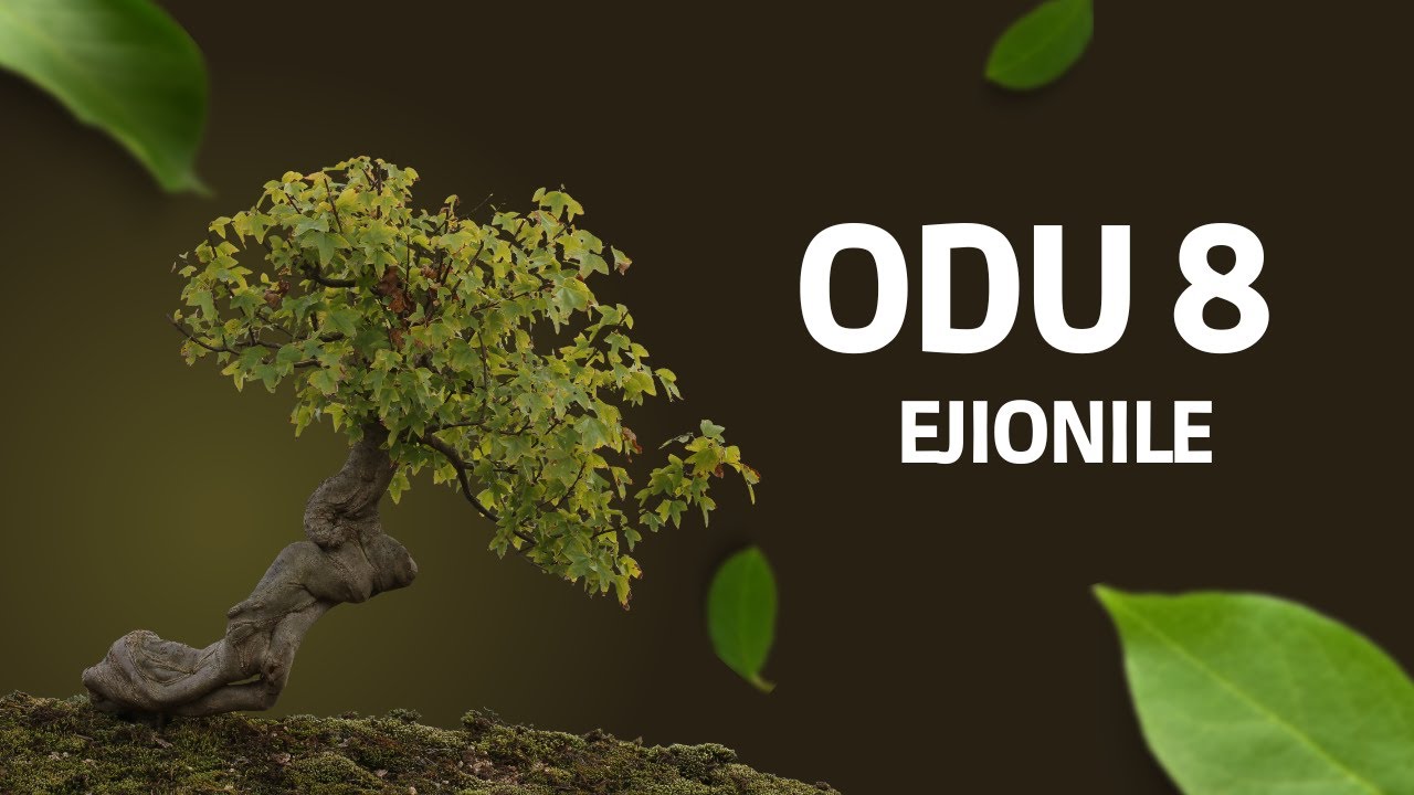 Como Agradar Odu Ejionile - RETOEDU