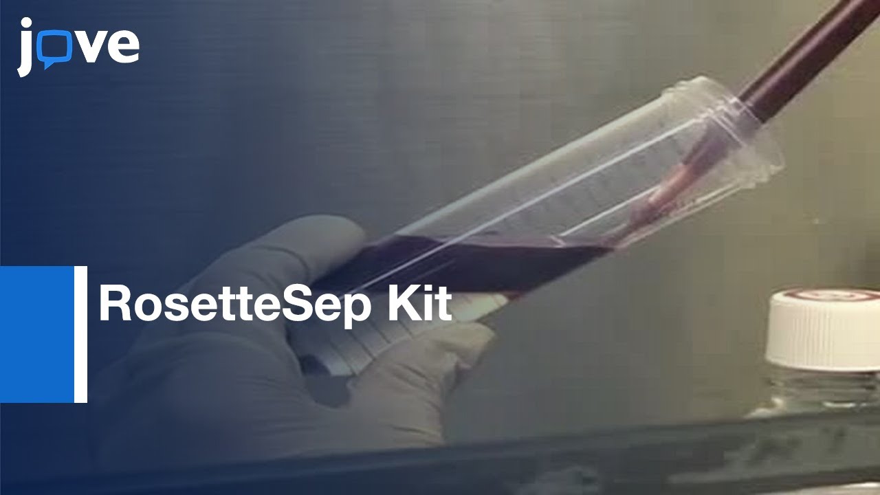 Enrichment- NK Cells Of Human Blood With RosetteSep Kit From StemCell ...