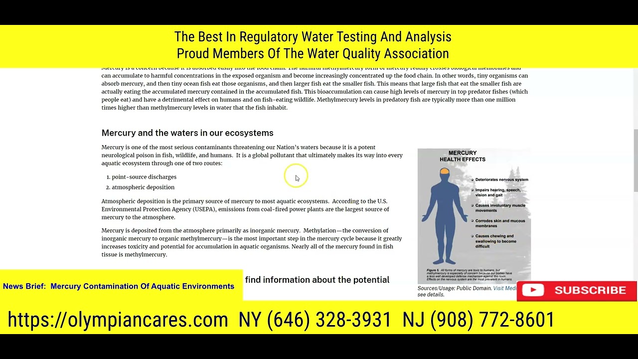 Olympian Water Testing- Mercury Contamination Of Aquatic Environments ...