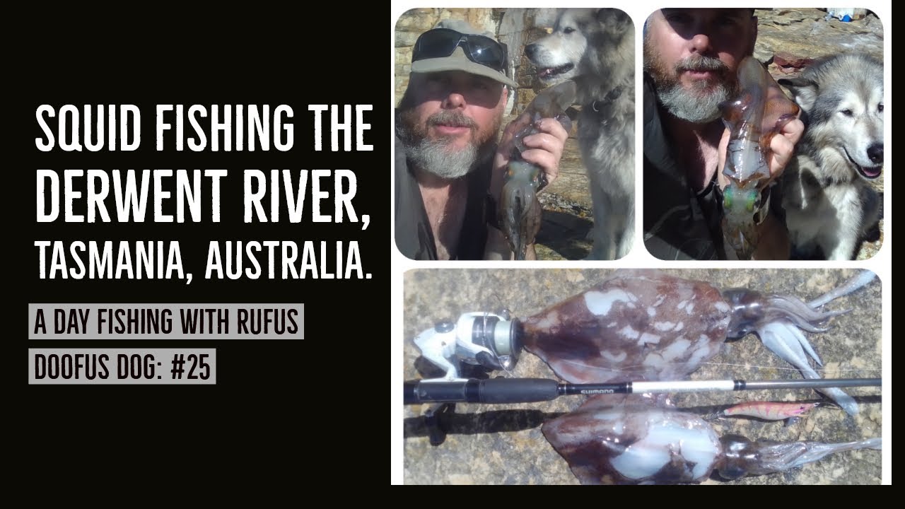 Squid fishing the Derwent River, Tasmania, Australia. A day fishing ...