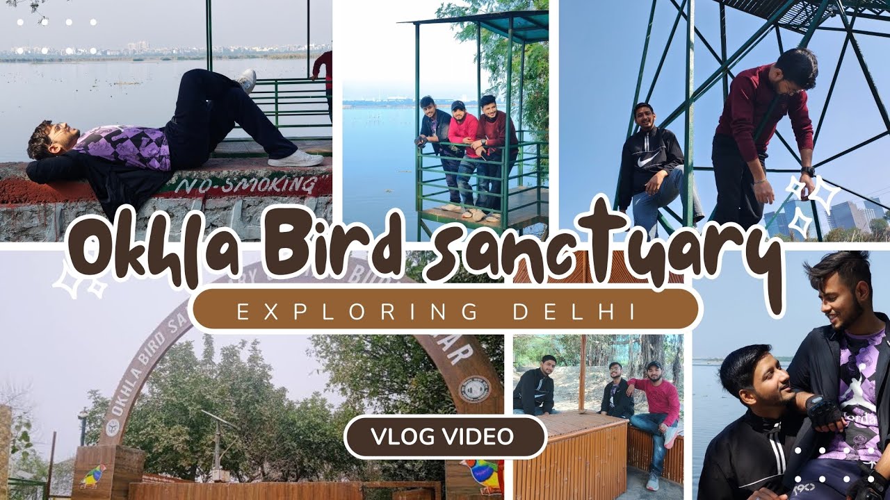 Okhla Bird Sanctuary 🐦🦢Okhla Bird Sanctuary Noida, Love Birds Sanctuary ...
