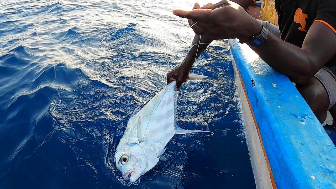 BACK TO BACK DIAMOND TREVALLY FISH CAUGHT IN SEA - YouTube