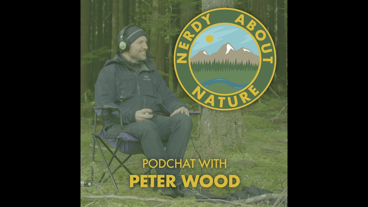 Podchat 15 | Greenwashing and Misleading Sustainability Certifications ...