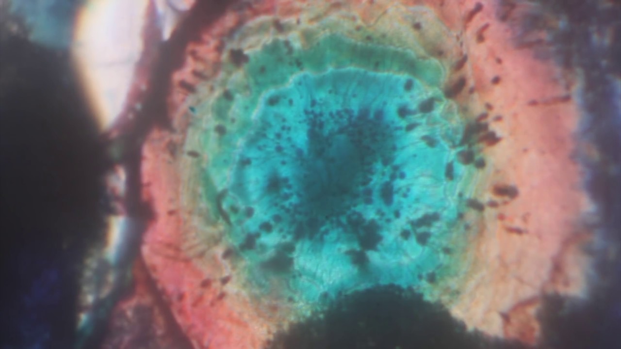 Jaghana ~ I Melt With You ~ - YouTube