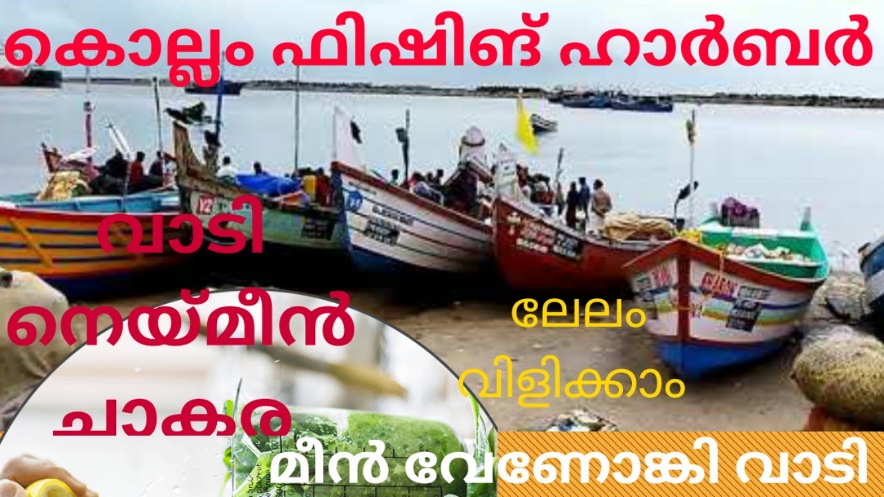 Vadi fishing Harbour/വാടി മീൻ ചാകര/fresh meen market I Port kollam I ...