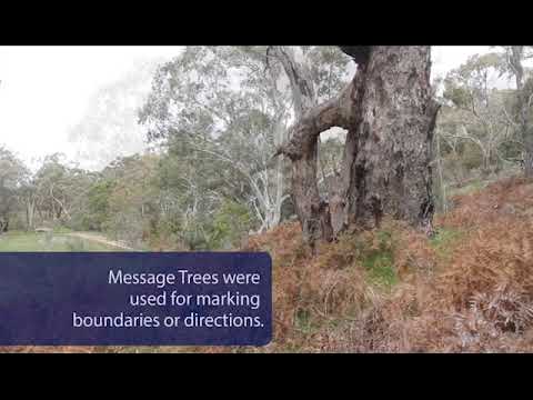 Indigenous Message Tree - YouTube