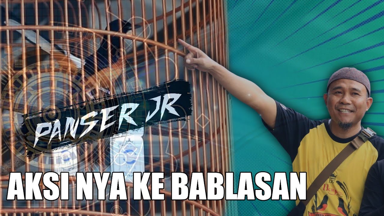 ini dia 😱 Panser Jr Murai Dari Markas BBF ‼️H.Taufik Banjarnegara - YouTube