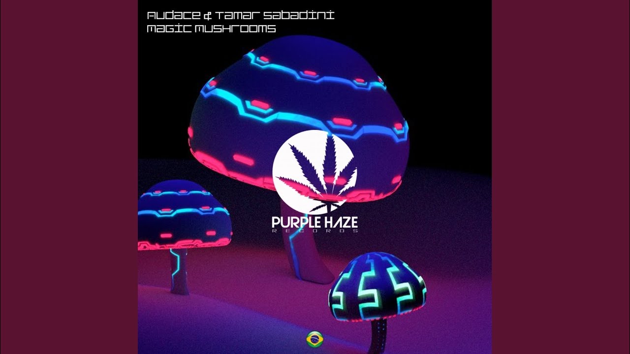 Magic Mushrooms (Original Mix) - YouTube