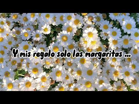 Eda Sakız, & İrem Derici/Papatya subtitulada al español 🌼