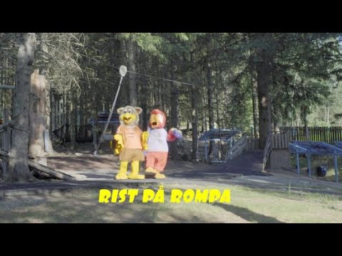 Dansevideo - Rist på Rompa - Frøken Ugle og Dj Papegøy - YouTube