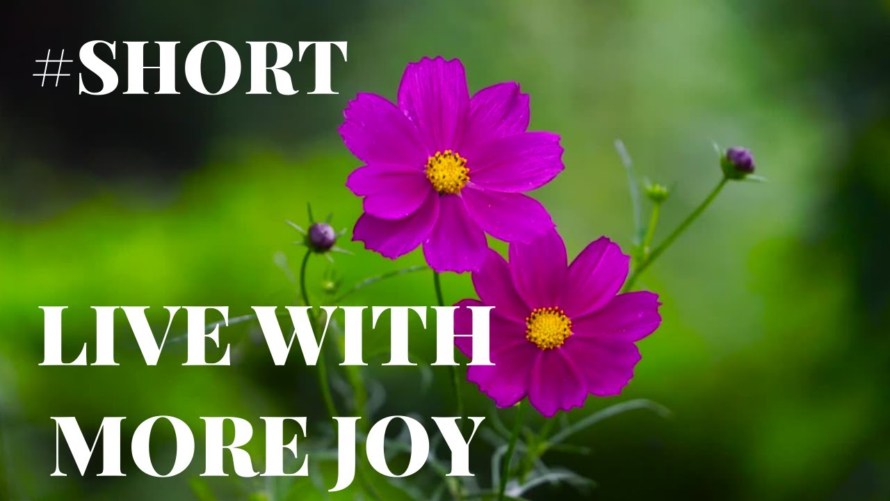 Live in Joy of Each Moment | Be Present for Your Best Life #empowerment ...