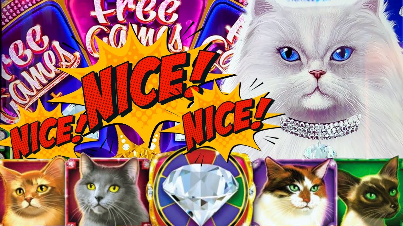 ★BIG WIN!★ I WANT ALL THE CATS!! 😻 KITTY GLITTER GRAND Slot Machine ...