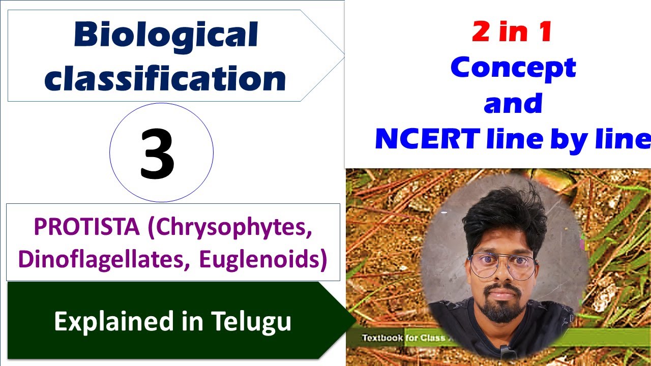 BIOLOGICAL CLASSIFICATION-3| PROTISTA(Chrysophytes, Dinoflagellates ...