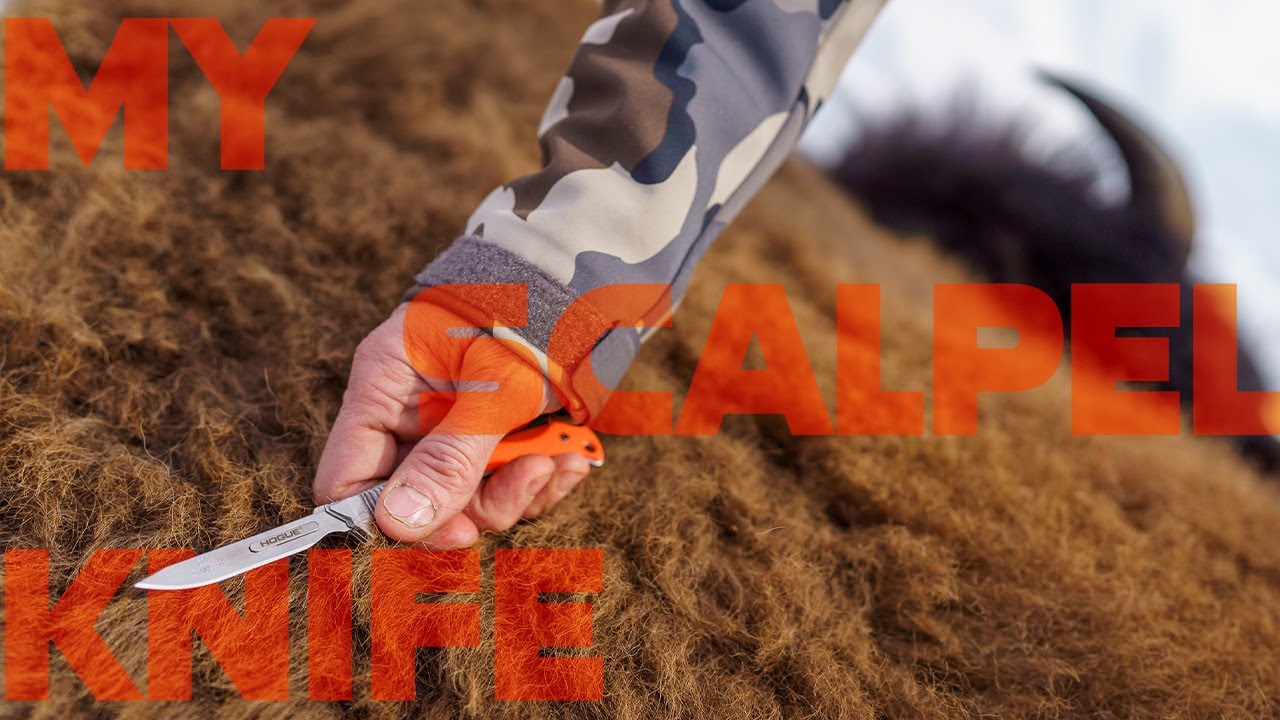My Mountain Hunting Scalpel Knife I Greg McHale's Wild Yukon - YouTube