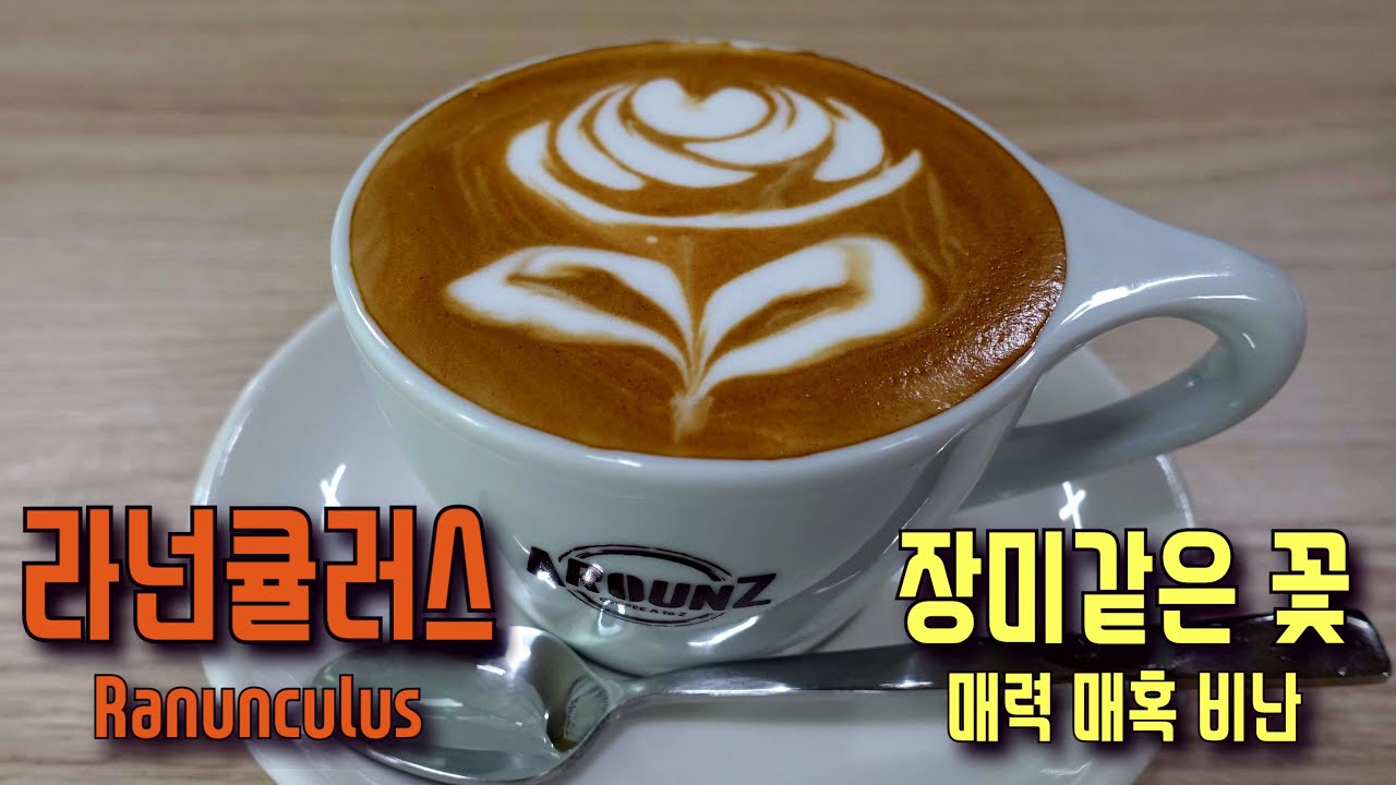 장미 같은 꽃 라넌큘러스 라떼아트로 그리는 영상 2022wsbc 대회 지정 패턴 바리스타 기술 도전 Wsbc