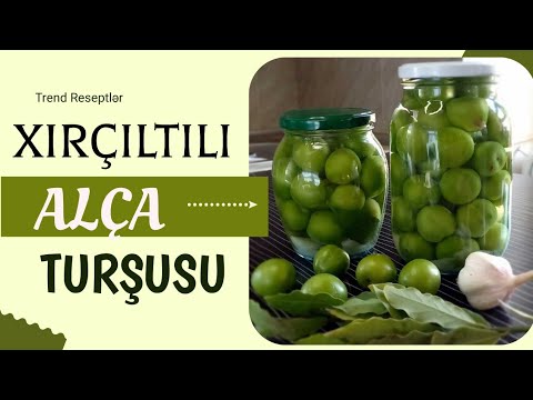 Xırçıltılı Alça turşusu bütün sirrləri ilə