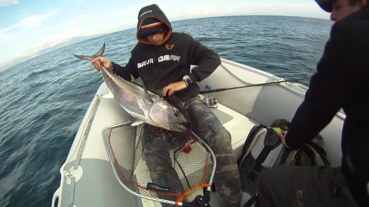 Fishing Tuna on spinning using a Savage Gear Prey110 - YouTube