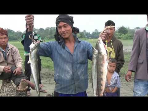 TRADITIONAL FISHING CULTURE IN ASSAM, A FEAST FOR EYES - YouTube