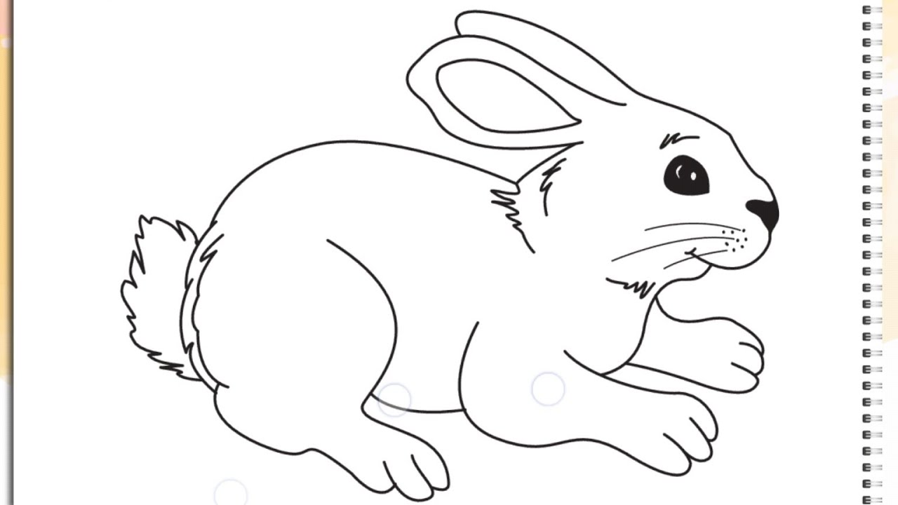 Cara menggambar & mewarnai hewan kelinci | mewarnai untuk anak-anak # ...