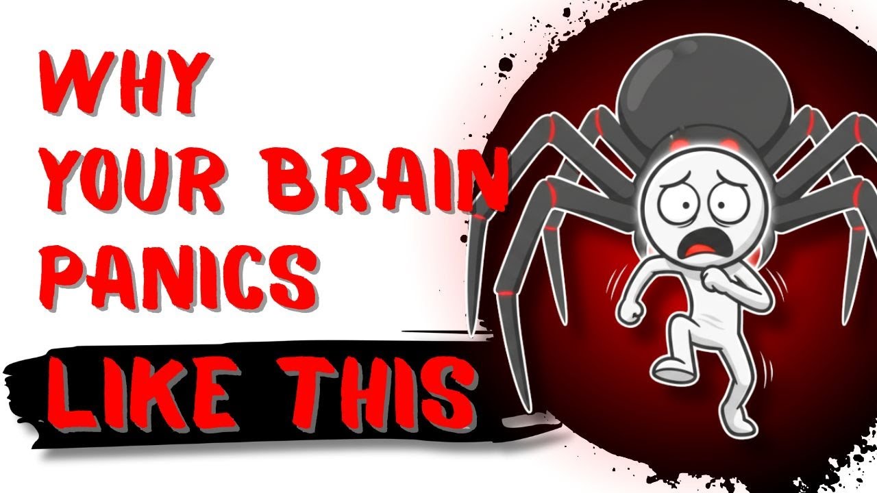 The Psychology of Phobias: Why Fear Hits Some Brains Harder - YouTube