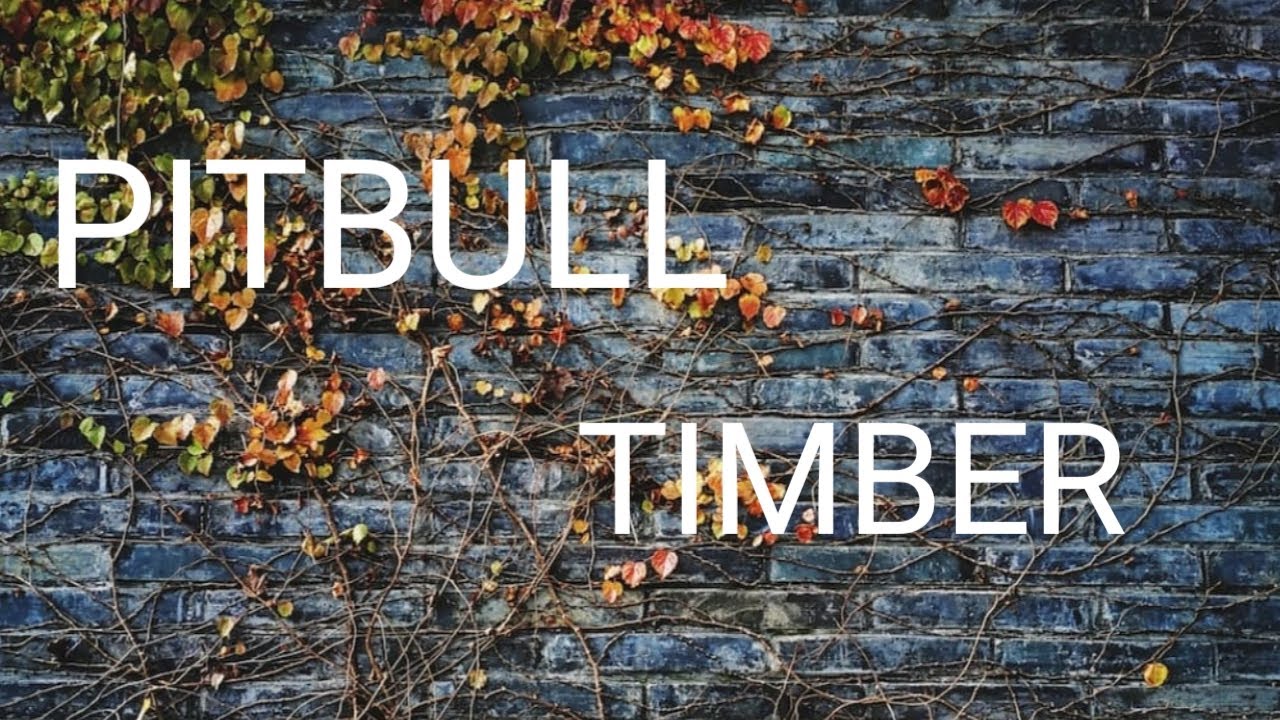 pitbull Timber song - YouTube
