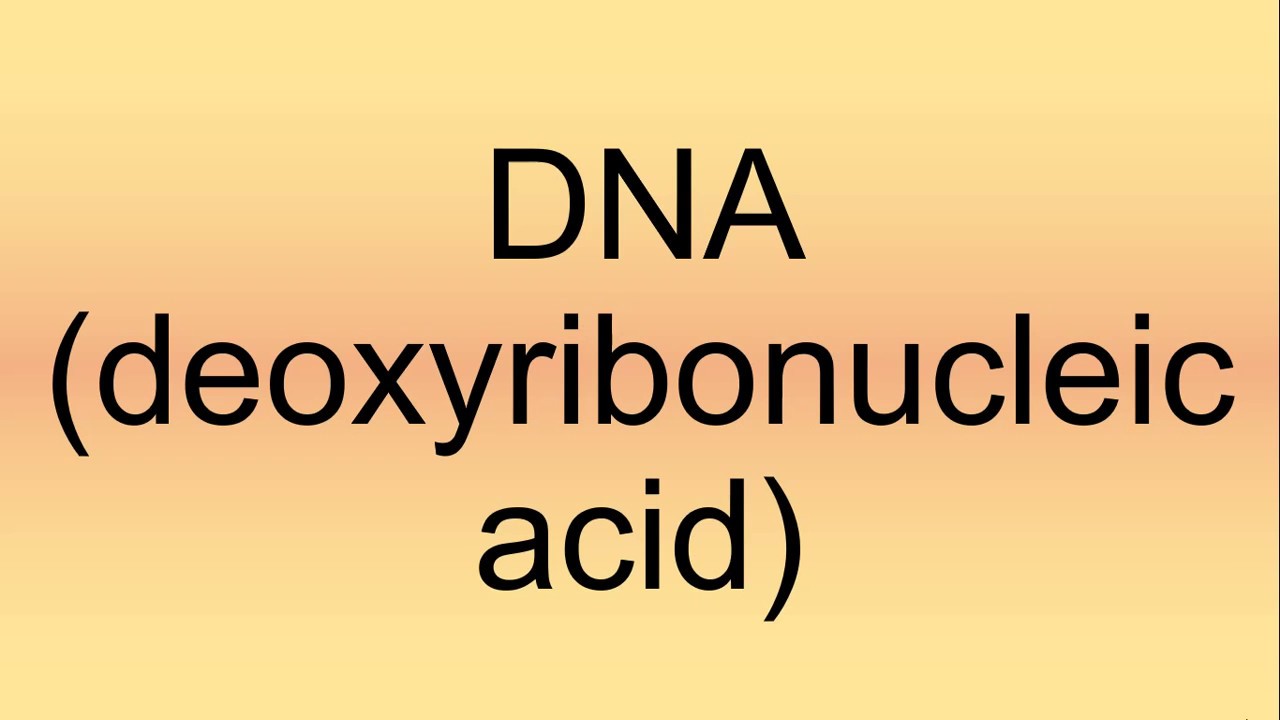 DNA - Deoxyribonucleic Acid Pronunciation | How to Say | How to ...
