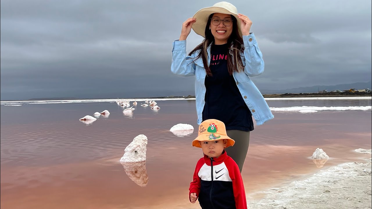 Salt Pond, Alviso Marina Park in San Jose, CA 9/30/2023 - YouTube