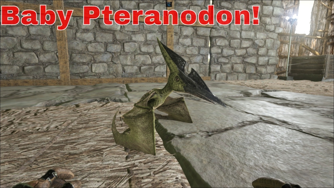 BABY PTERANODON | ARK SURVIVAL EVOLED # 19 - YouTube