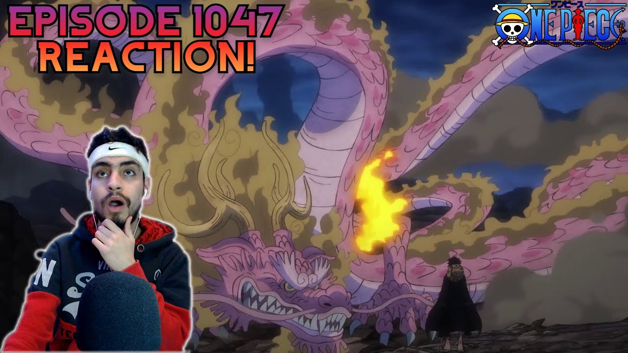 One Piece Episode 1047 Reaction! MOMO'S TRUE DRAGON FORM REVEALED ...