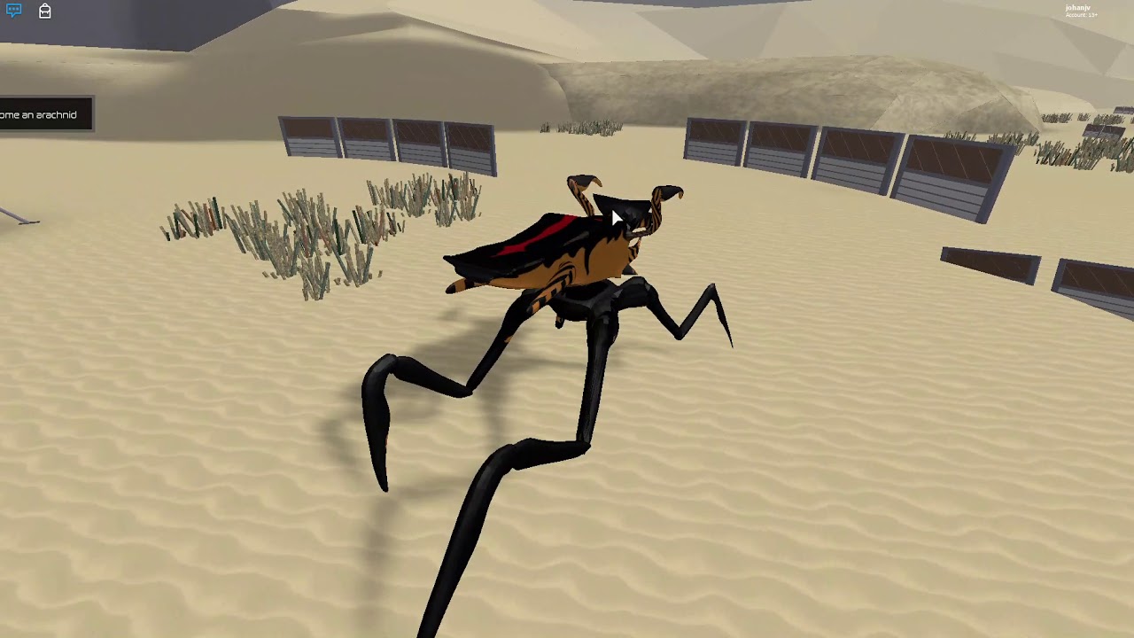 Arachnid Warrior Bug Showcase - YouTube