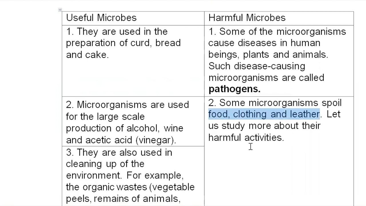 Class 8 | CBSE | Science | Lesson 2 | Micro organisms Friends and Foe ...
